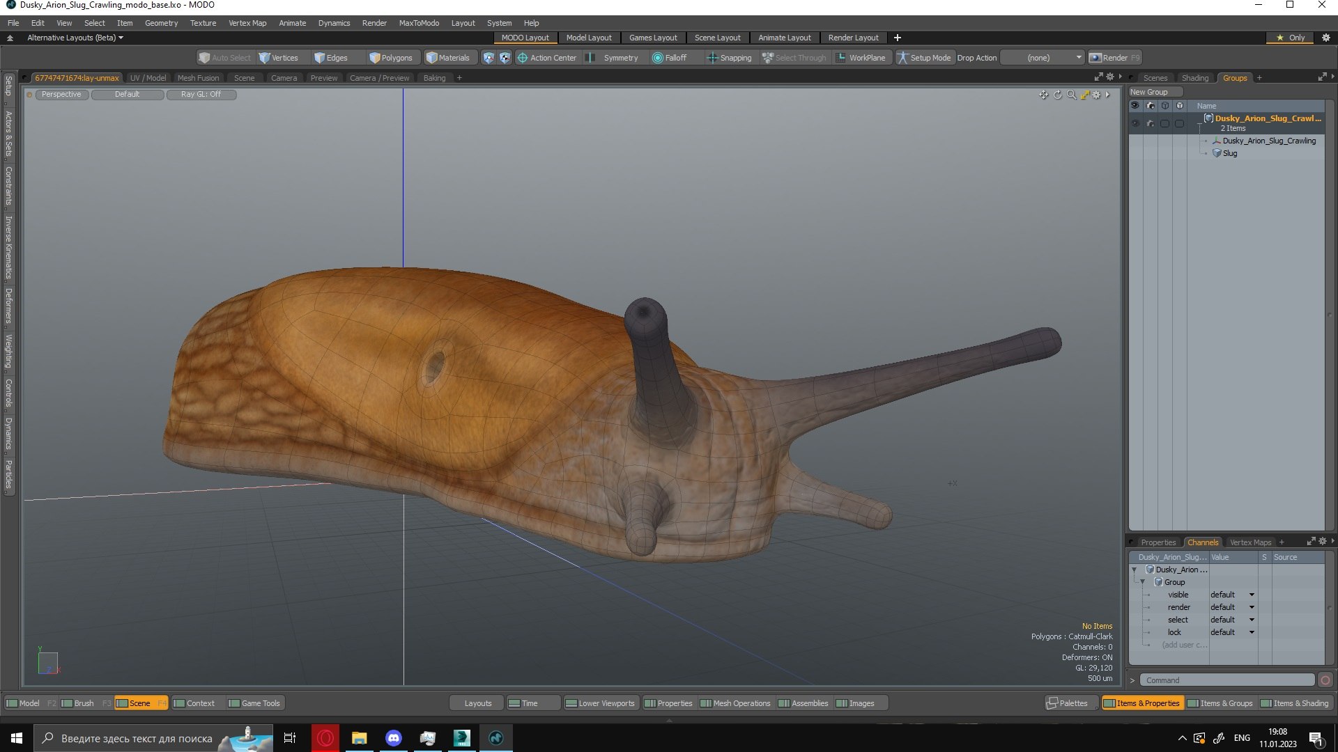3D Dusky Arion Slug Crawling - TurboSquid 2015873