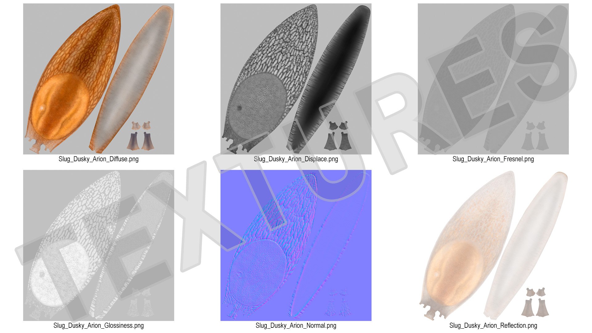 3D Dusky Arion Slug Crawling - TurboSquid 2015873