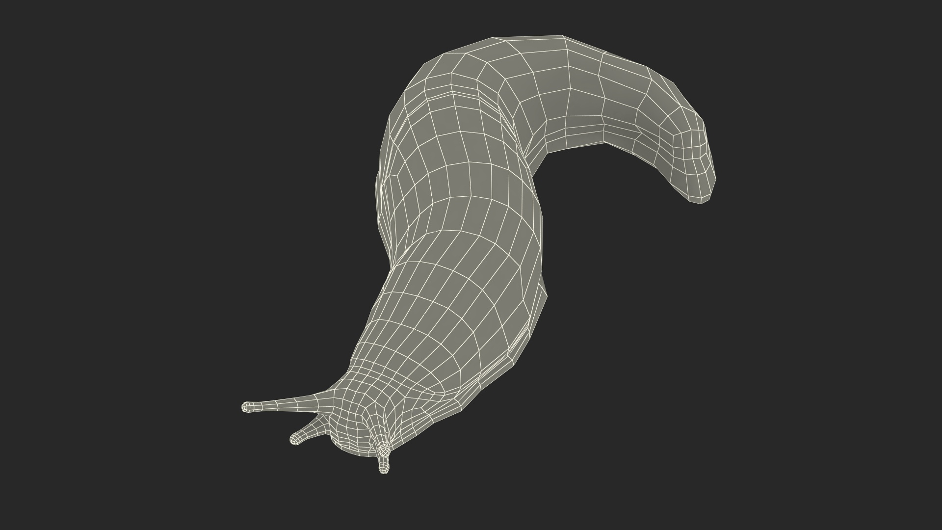 3D Dusky Arion Slug Crawling - TurboSquid 2015873