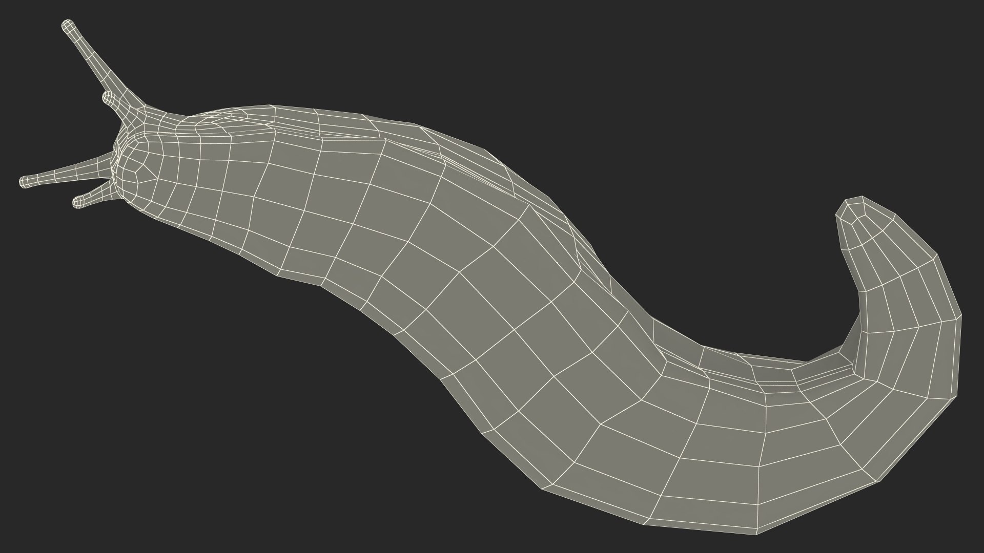 3D Dusky Arion Slug Crawling - TurboSquid 2015873
