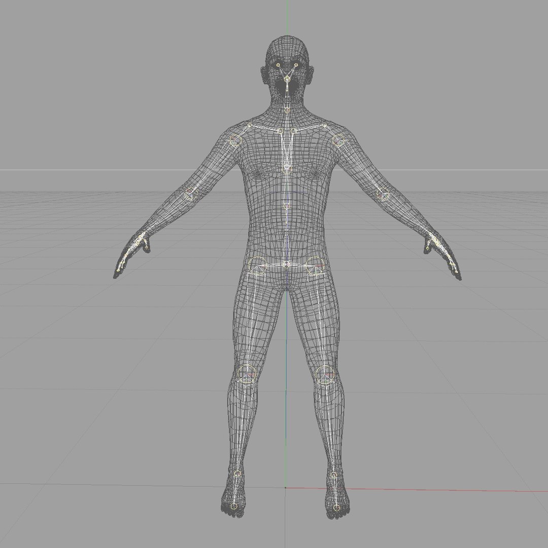 Base Mesh 25 Year 3d Model