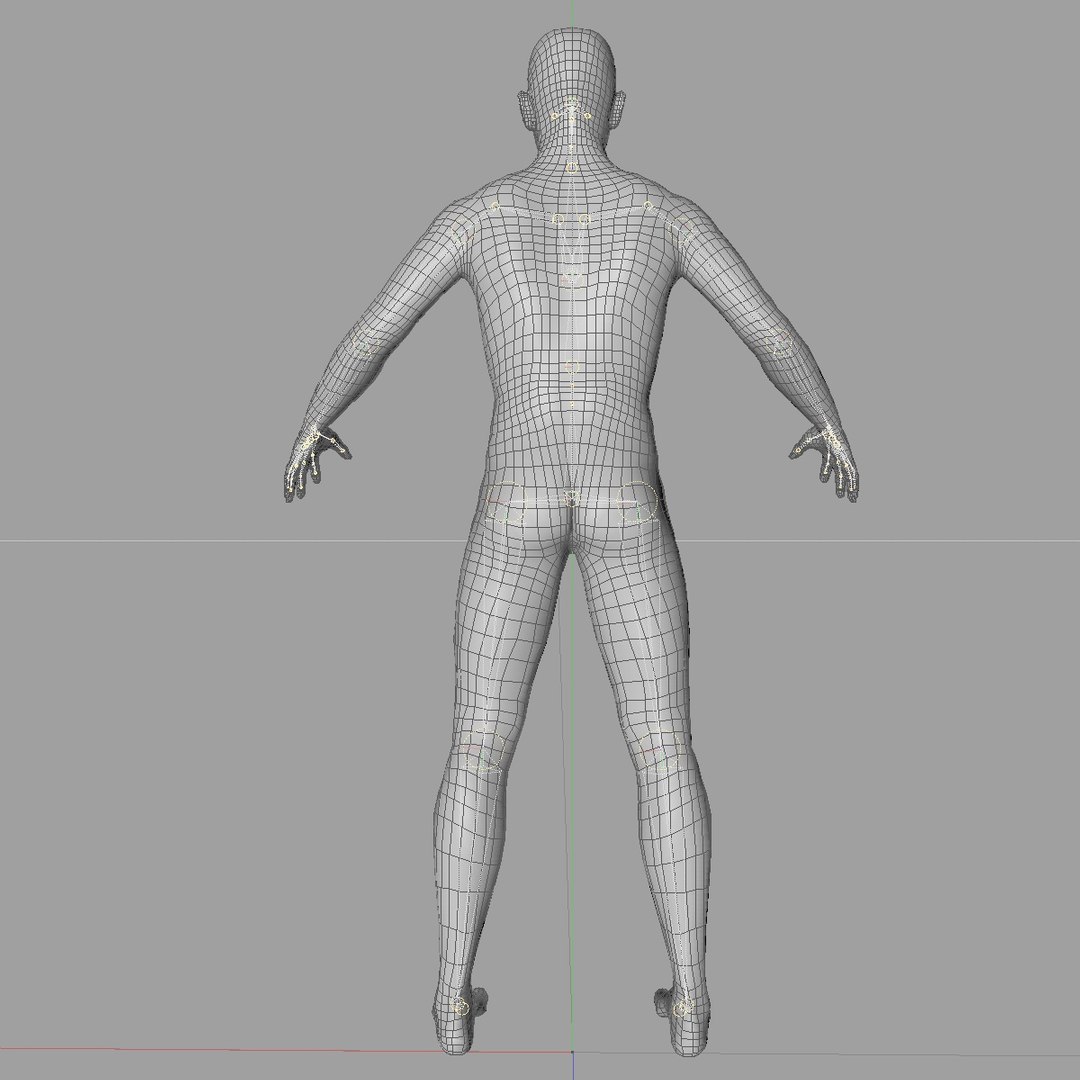 Base Mesh 25 Year 3d Model