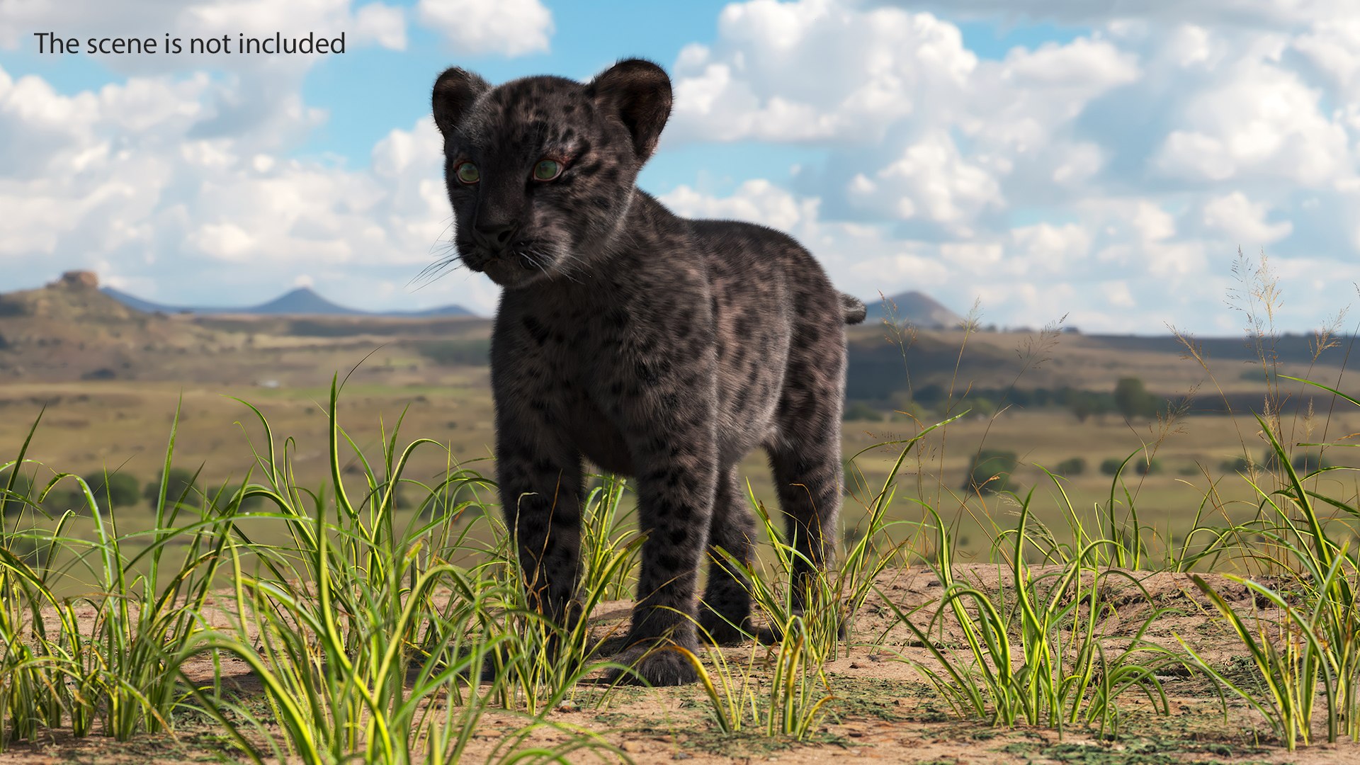 3D Black Leopard Cub Standing Pose With Fur - TurboSquid 2342619