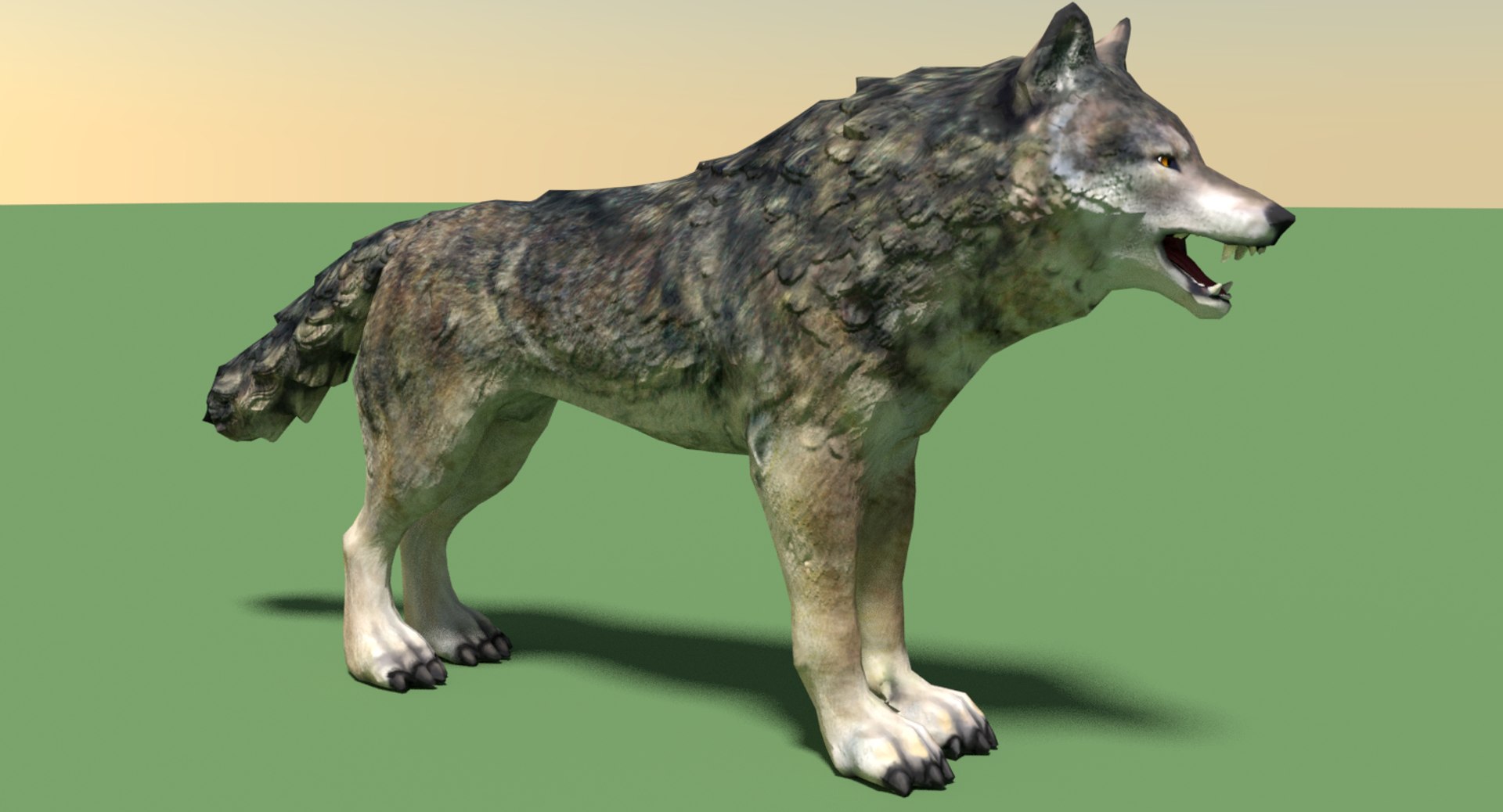 3d wolf model