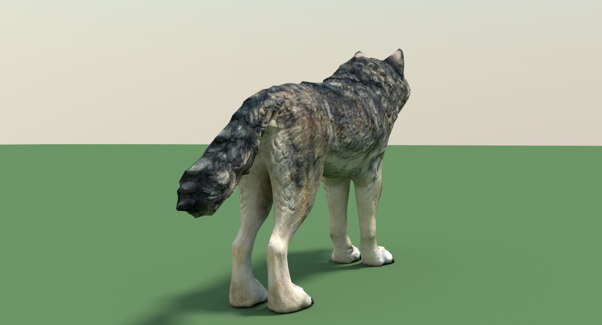 3d wolf model