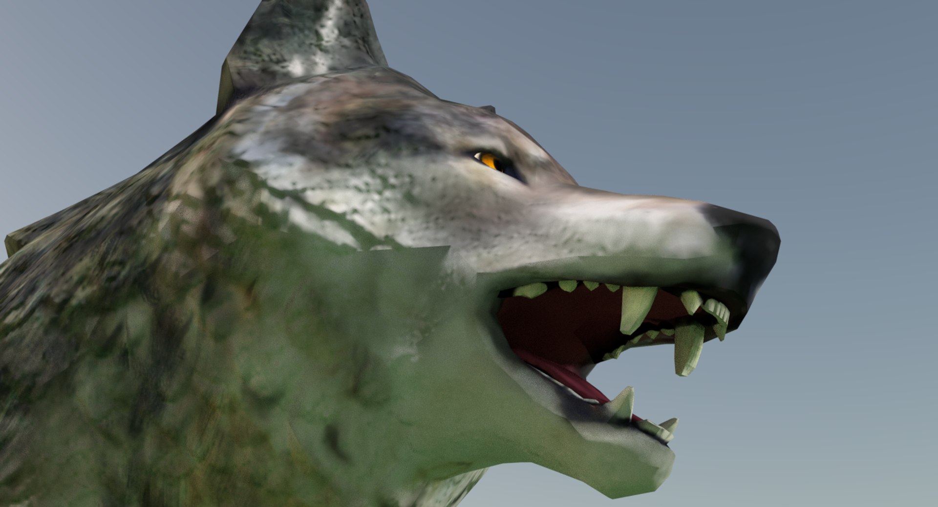 3d wolf model