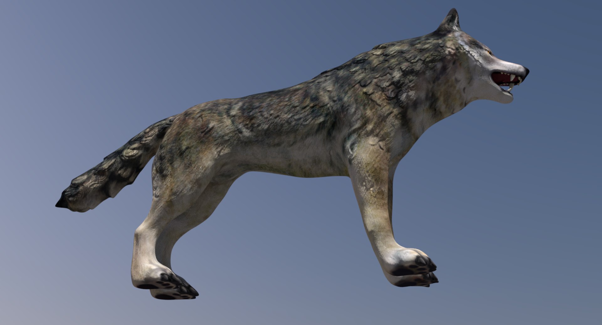 3d wolf model