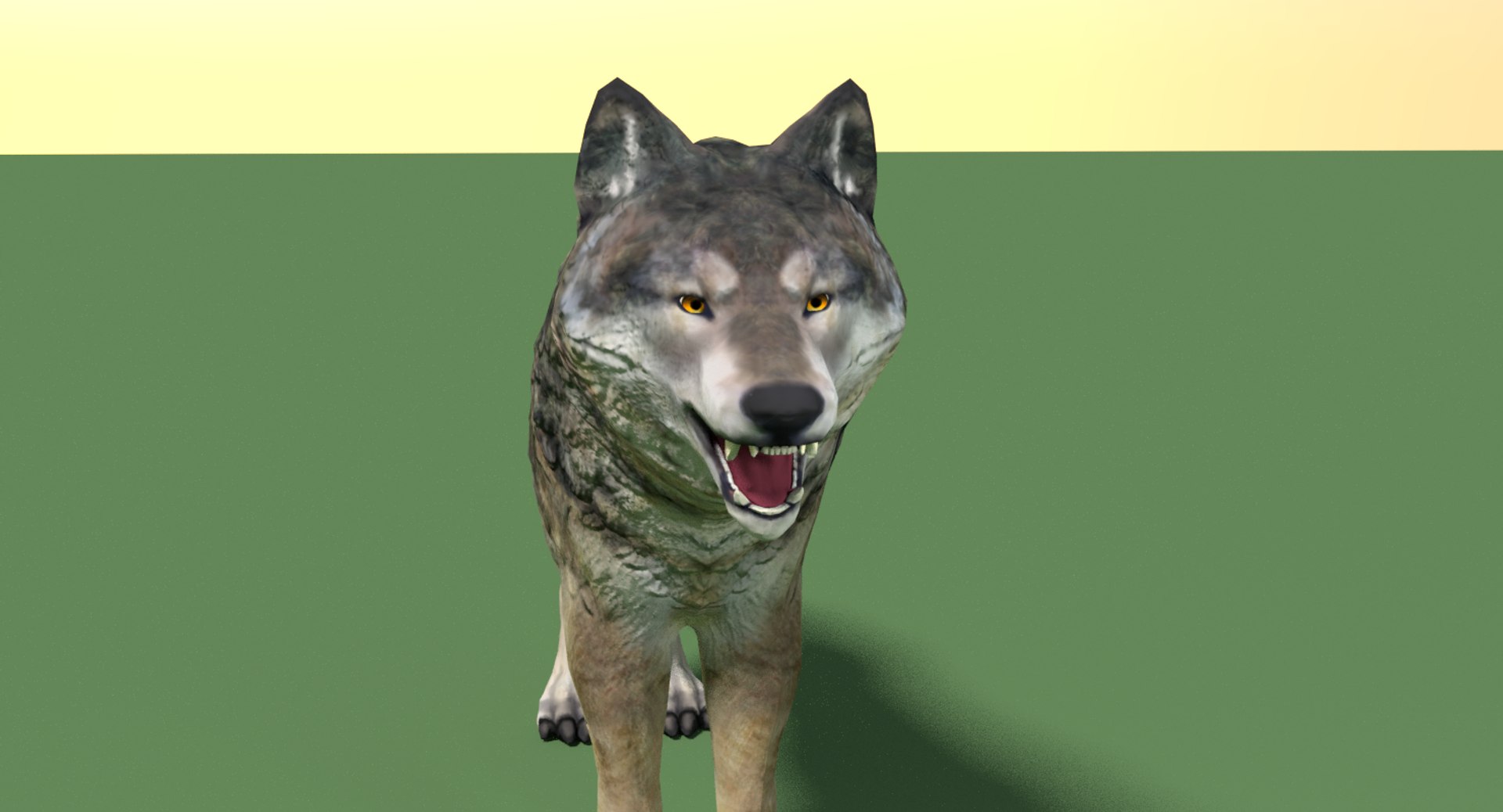 3d wolf model