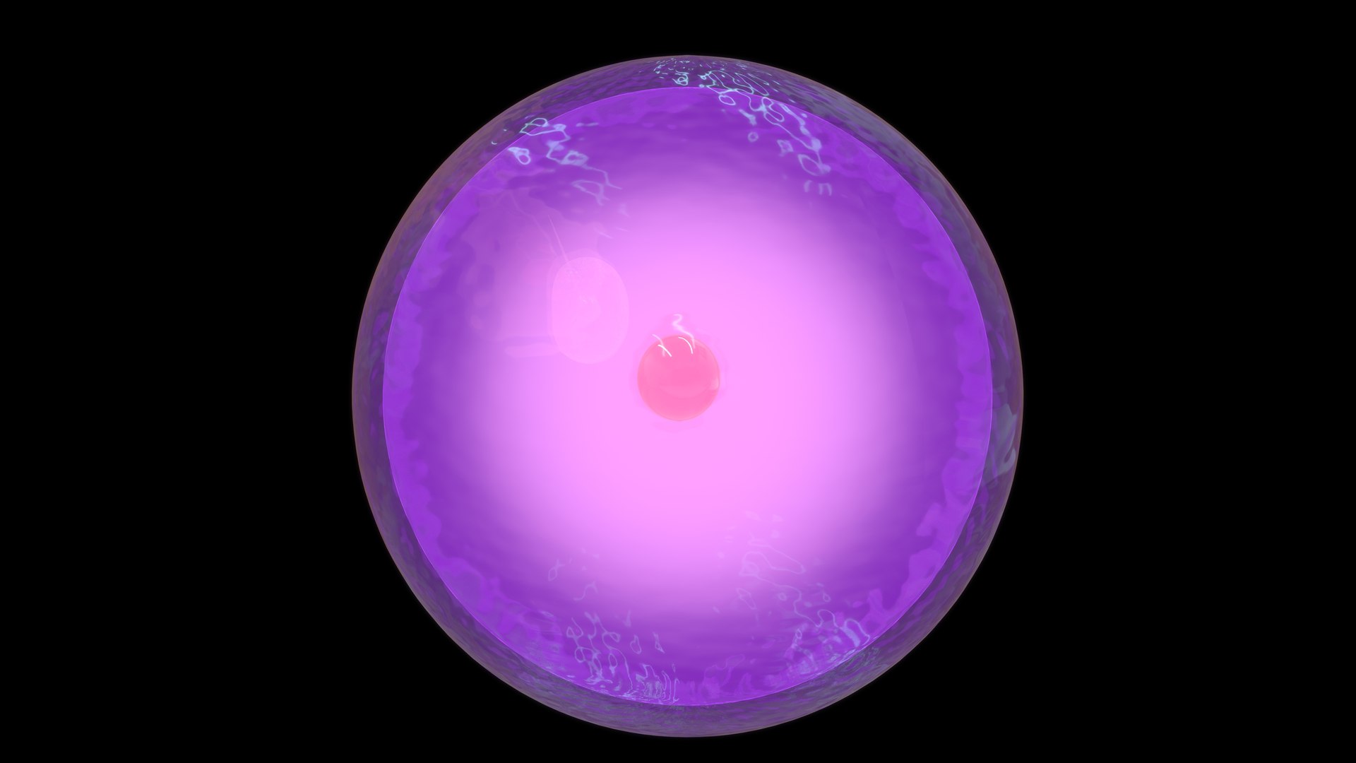 Gametes Cell 3D Model - TurboSquid 2205435