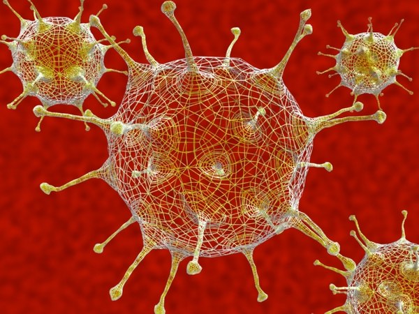 3d spherical virus