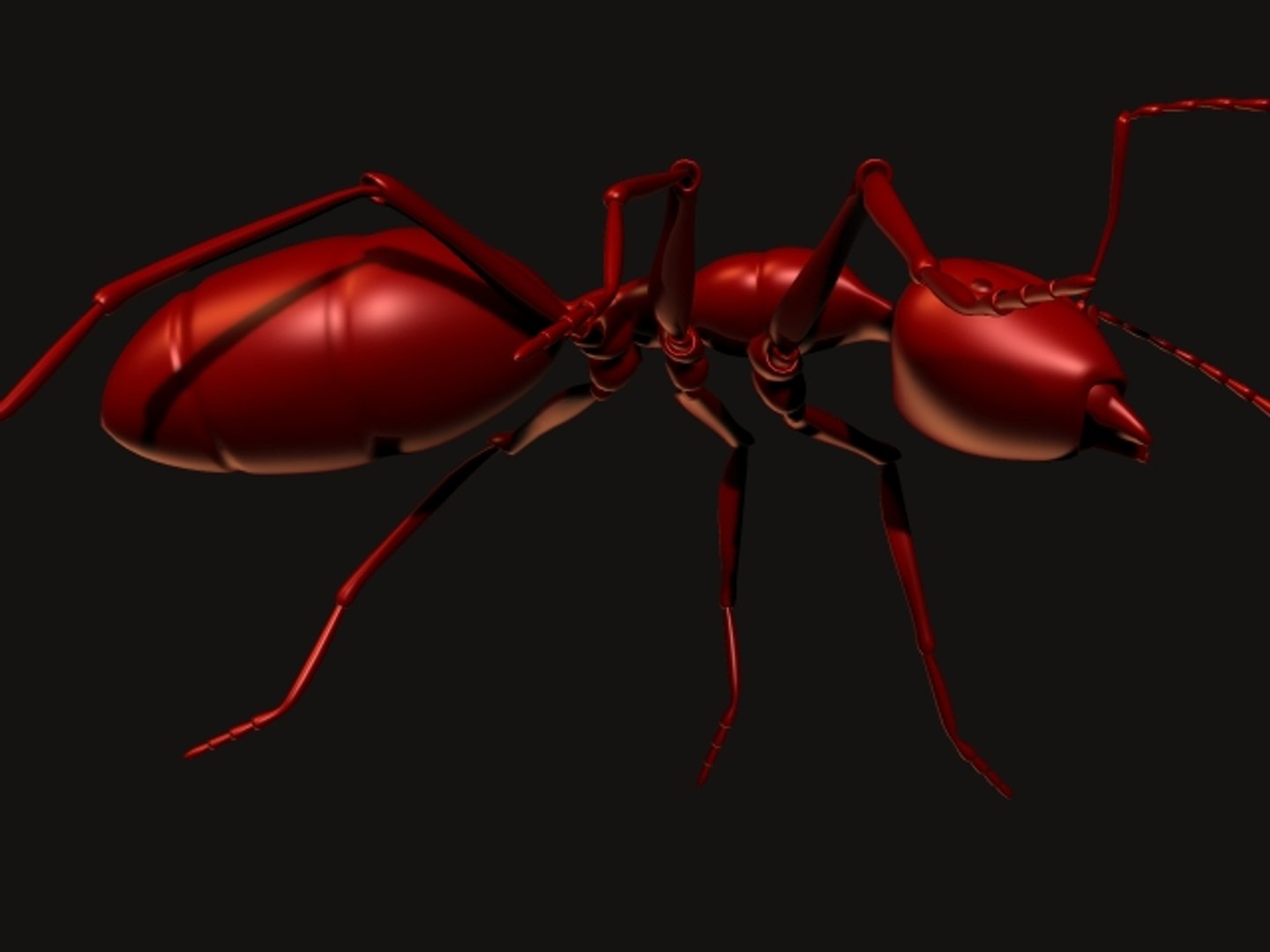 Army Ant 3d Obj