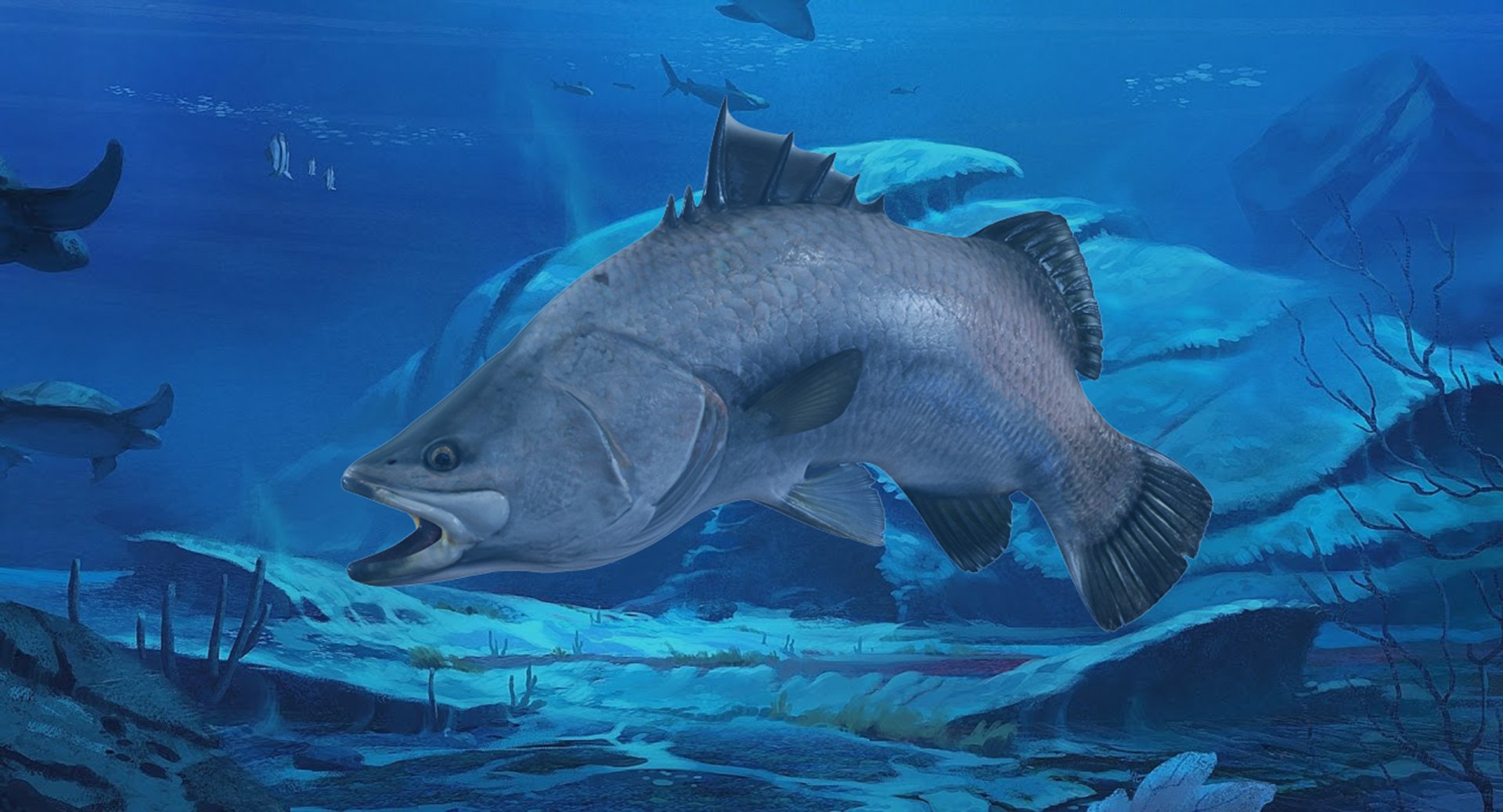 Barramundi Fish Swimming Pose 3D Model - TurboSquid 1361742