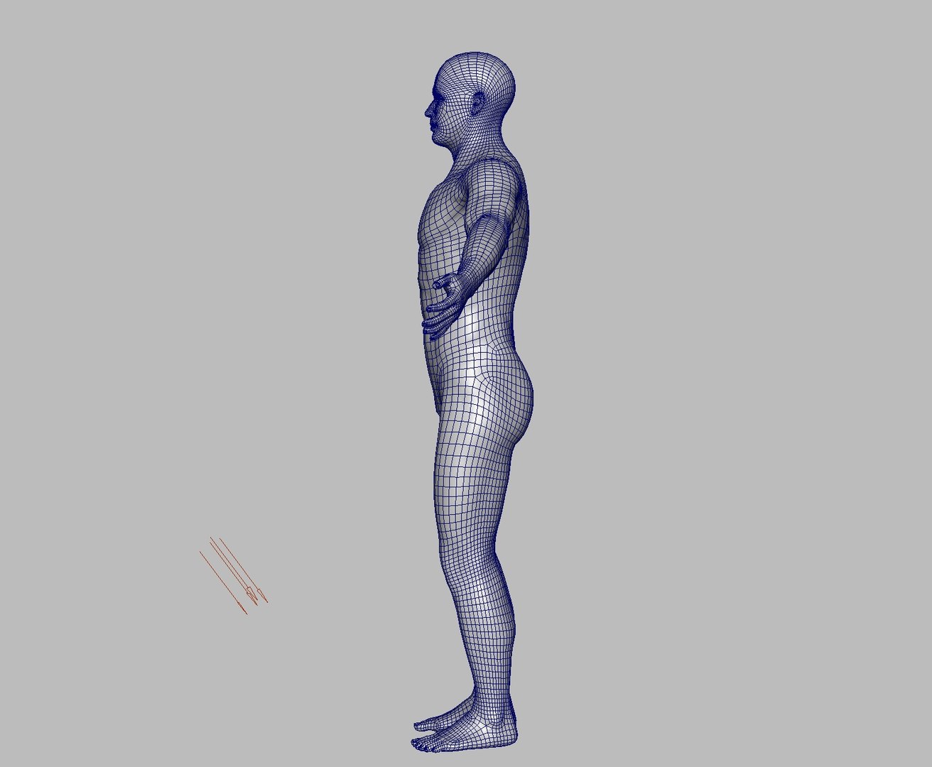 Male Human Man 3d Model