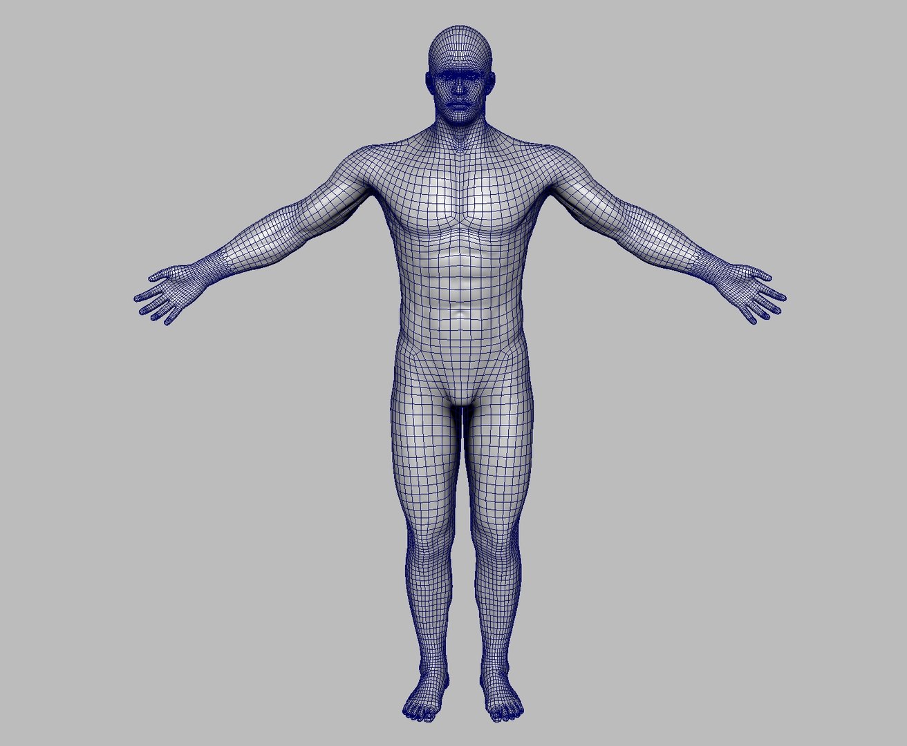 Male Human Man 3d Model