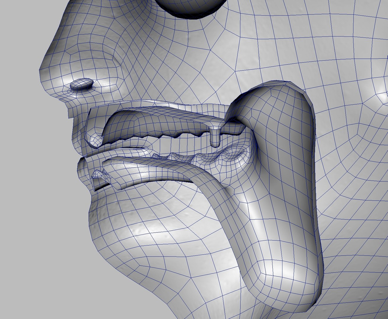 Male Human Man 3d Model