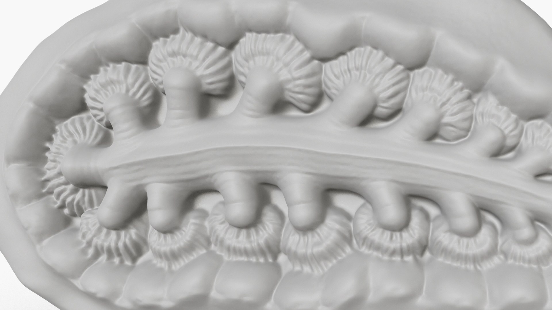 3D Ancient Fossil 2005 - TurboSquid 2299802