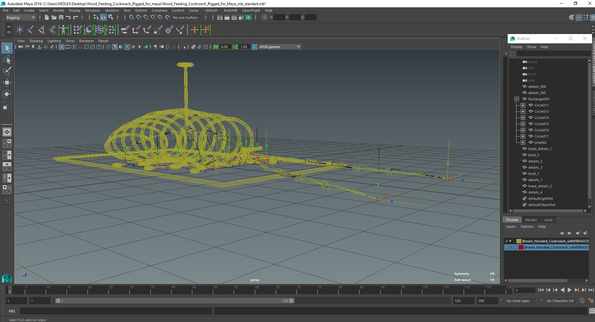 Wood Feeding Cockroach Rigged for Maya model - TurboSquid 2170526