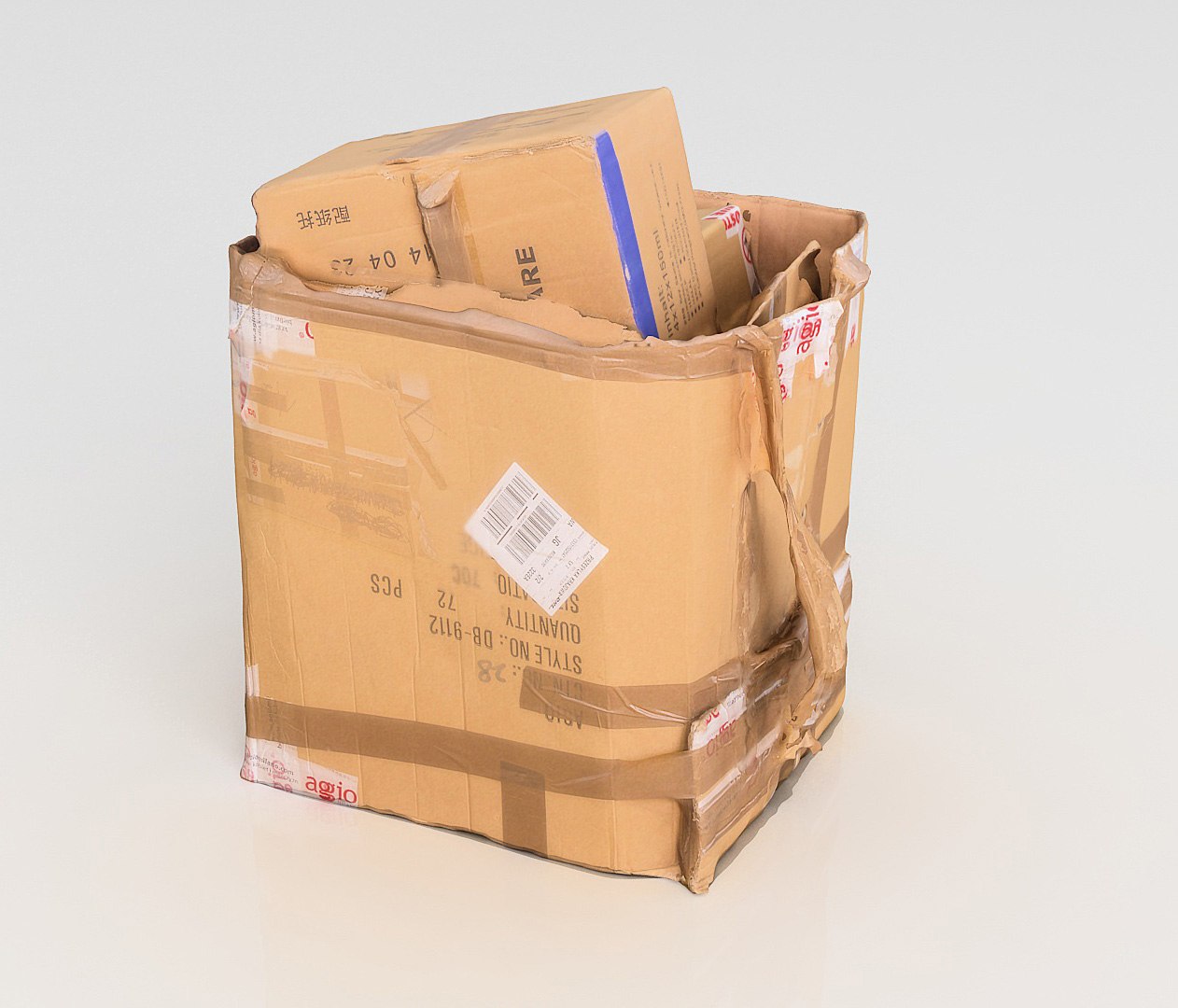 3d Scanned Packed Model