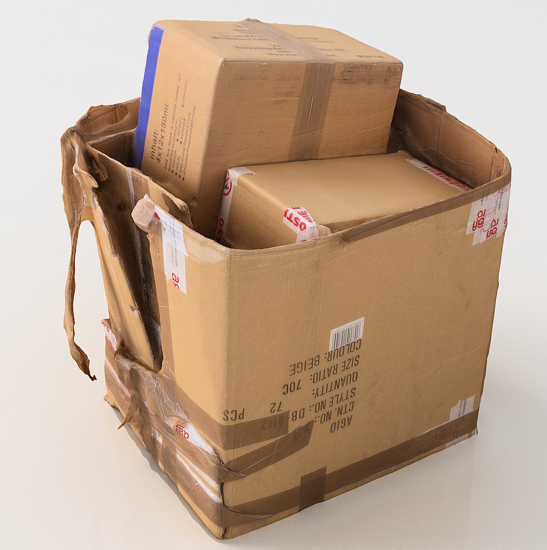 3d Scanned Packed Model