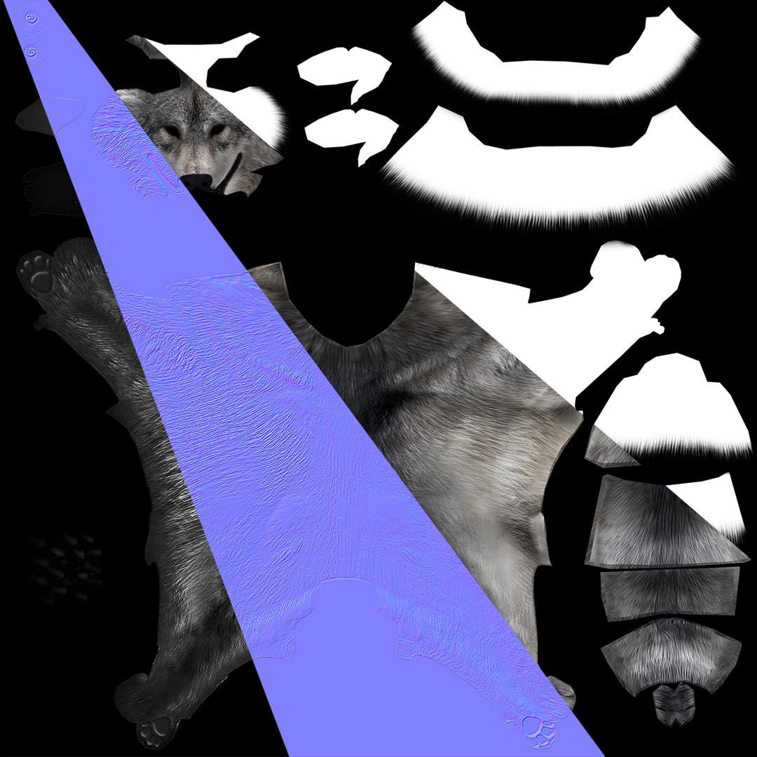 3D Grey Wolf - TurboSquid 1459917