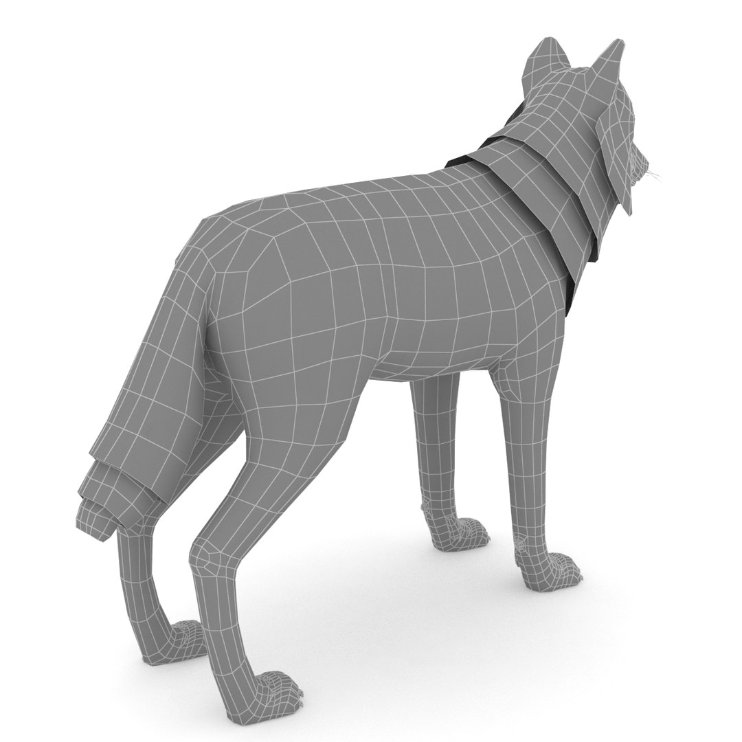 3D Grey Wolf - TurboSquid 1459917