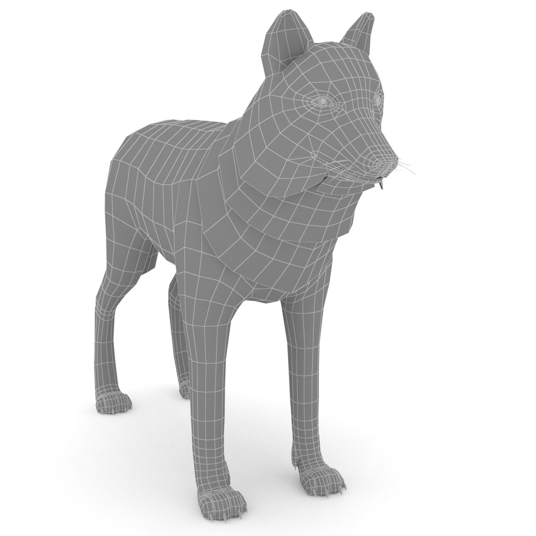3D Grey Wolf - TurboSquid 1459917