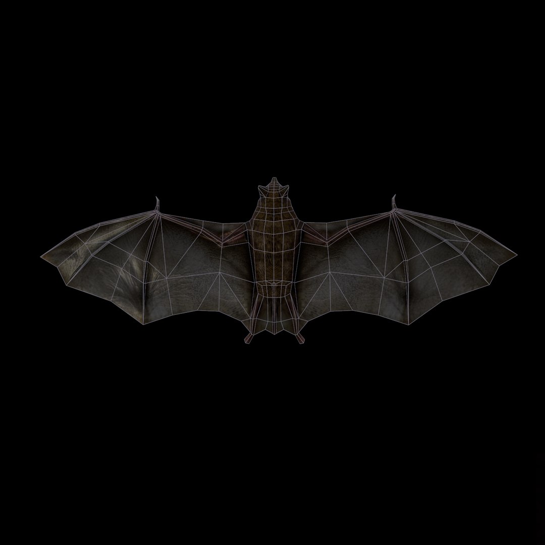3d Model Rigged Bat Animations