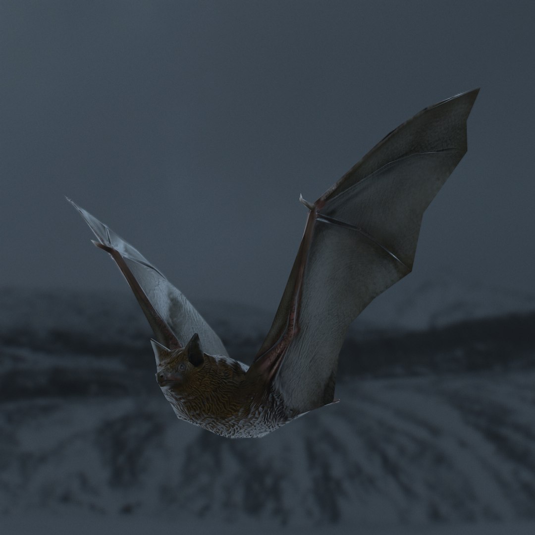 3d Model Rigged Bat Animations