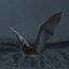 3d Model Rigged Bat Animations