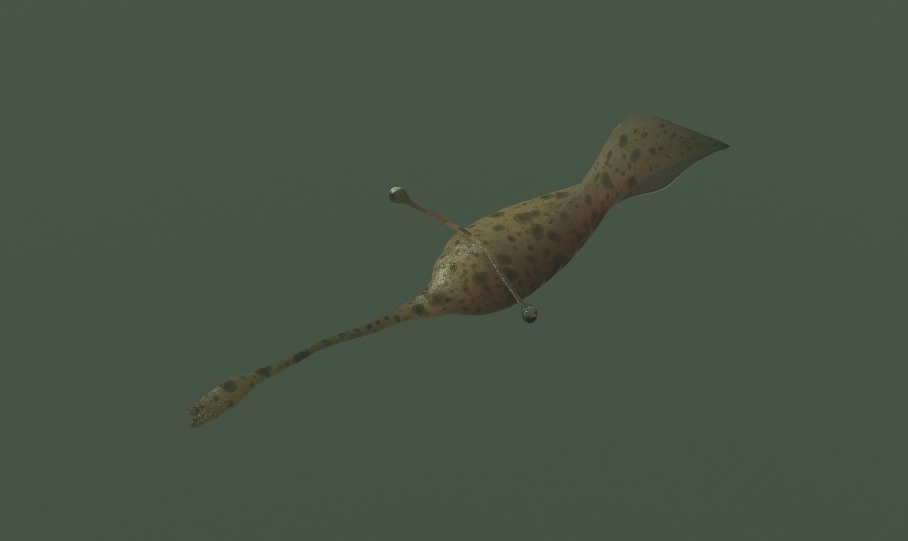 3D Tullimonstrum Fossil Model - TurboSquid 1652846