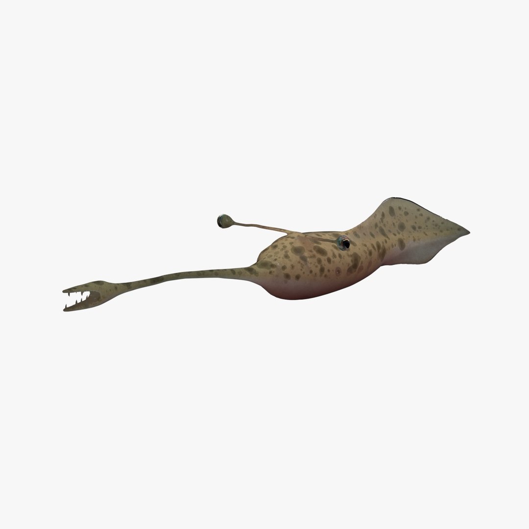 3D tullimonstrum fossil model - TurboSquid 1652846