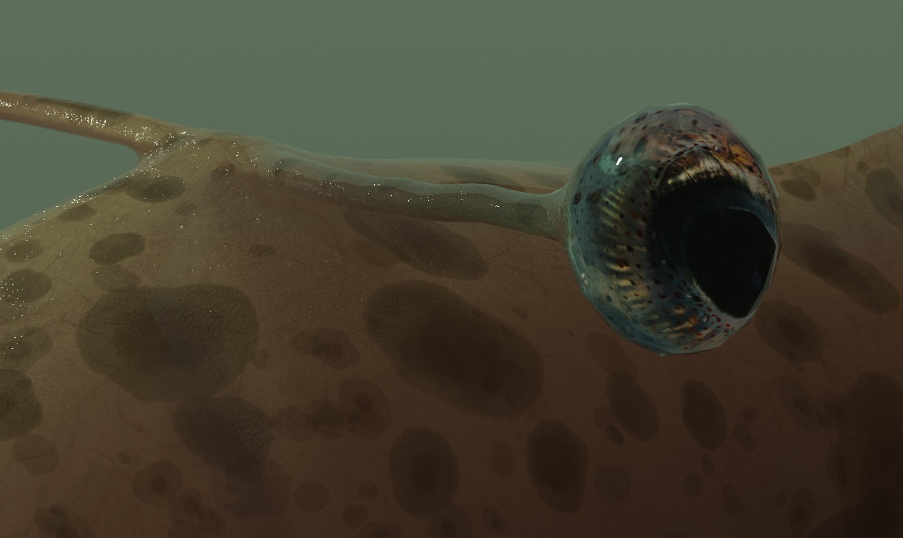 3D Tullimonstrum Fossil Model - TurboSquid 1652846