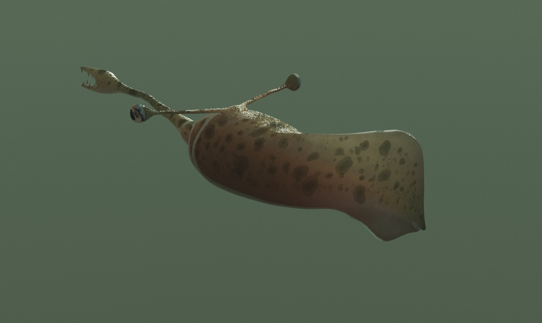 3D Tullimonstrum Fossil Model - TurboSquid 1652846