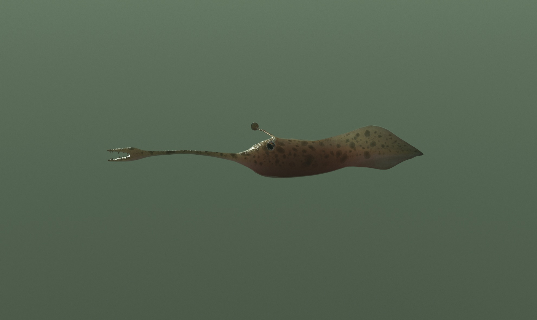 3D Tullimonstrum Fossil Model - TurboSquid 1652846