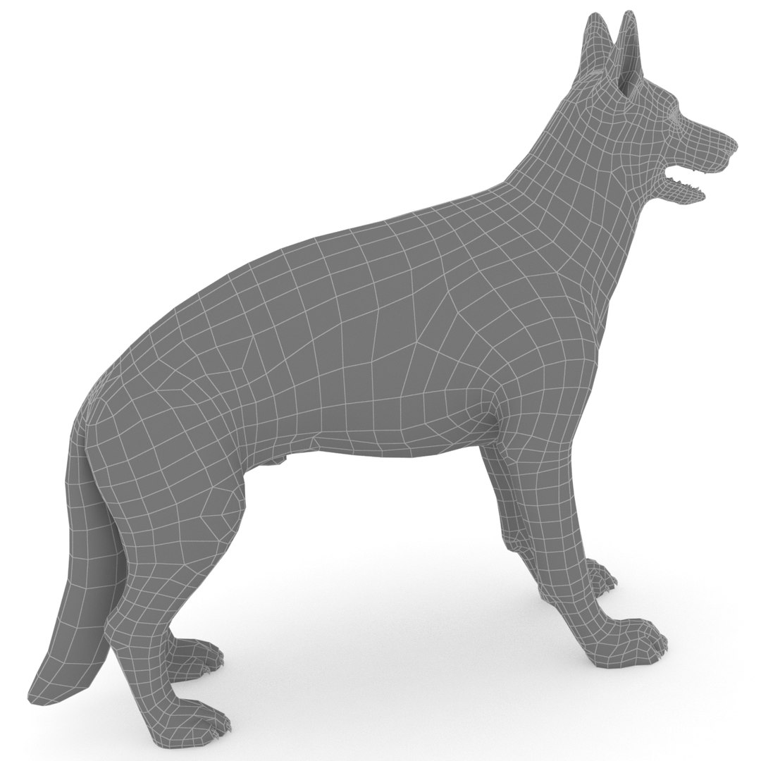 3D German Shepherd Dog Model - TurboSquid 1445455