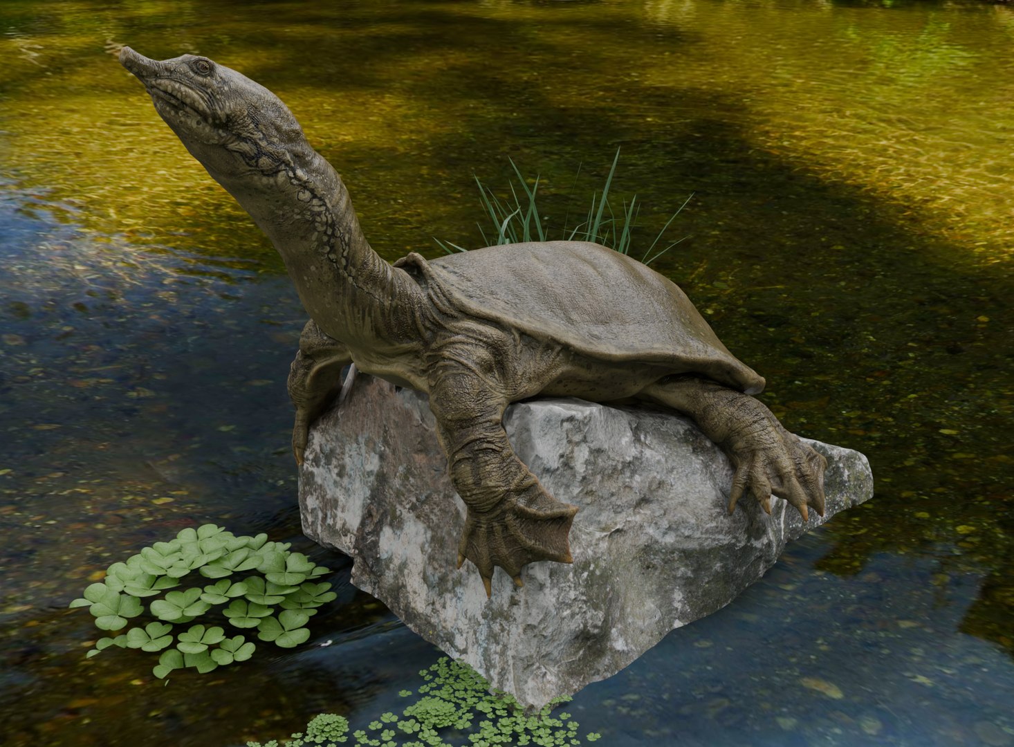 Realistic Turtle Pbr 4k 3D - TurboSquid 2397542