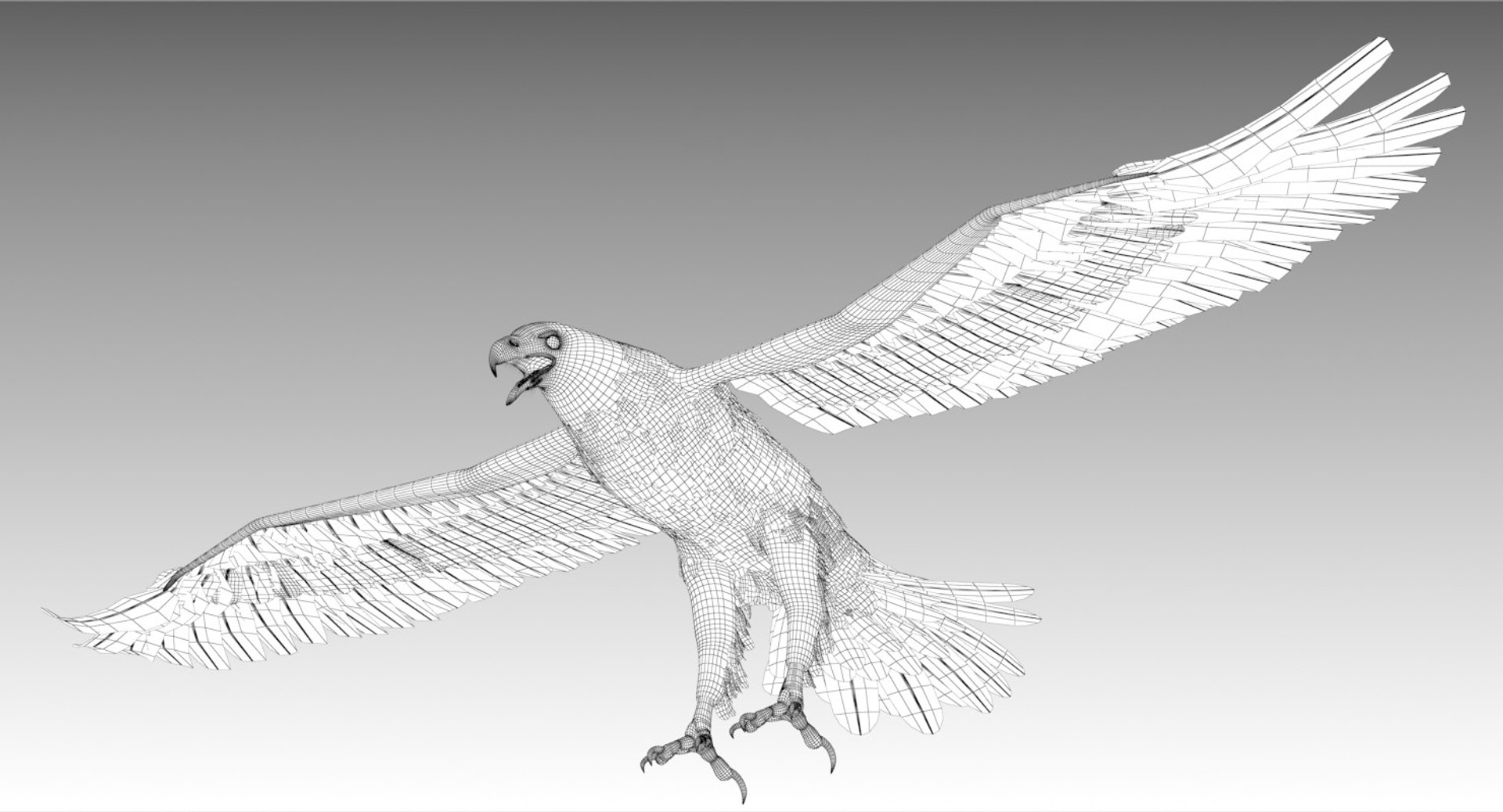 Bald Eagle Model - TurboSquid 1307537