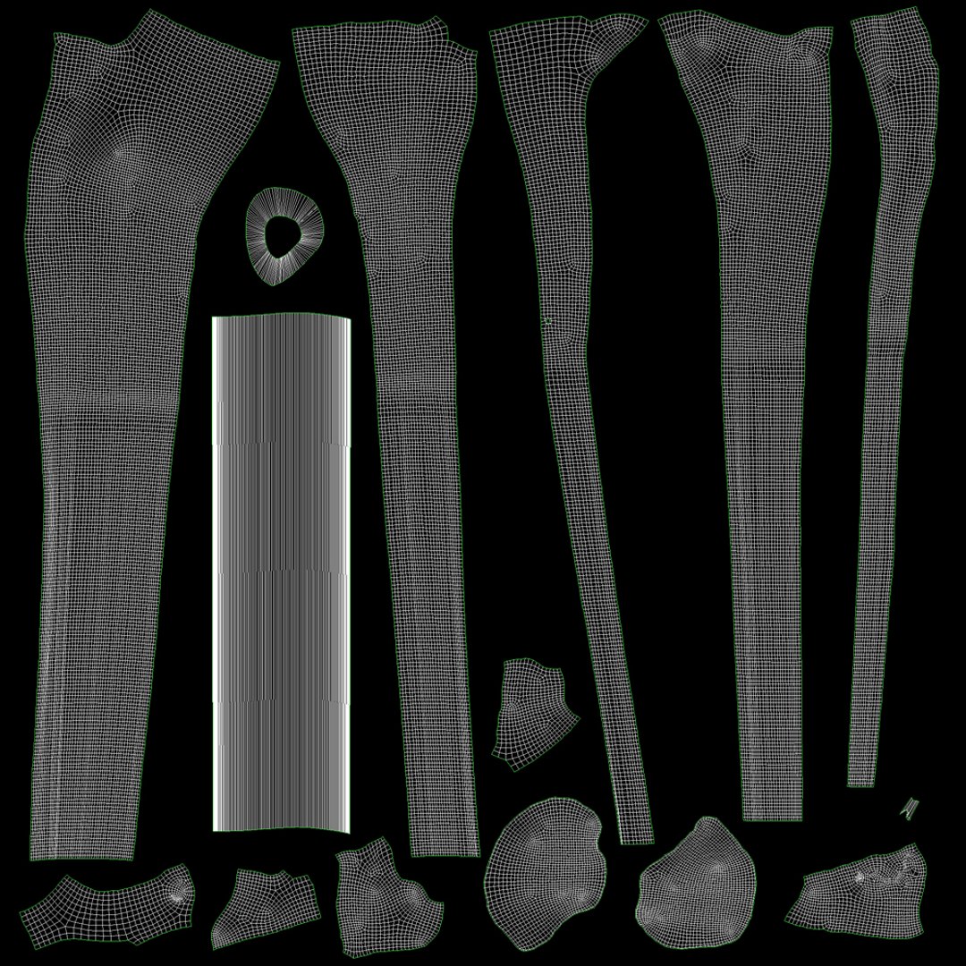 High Resolution Human Knee From A Real CT-Scan Model - TurboSquid 1949197