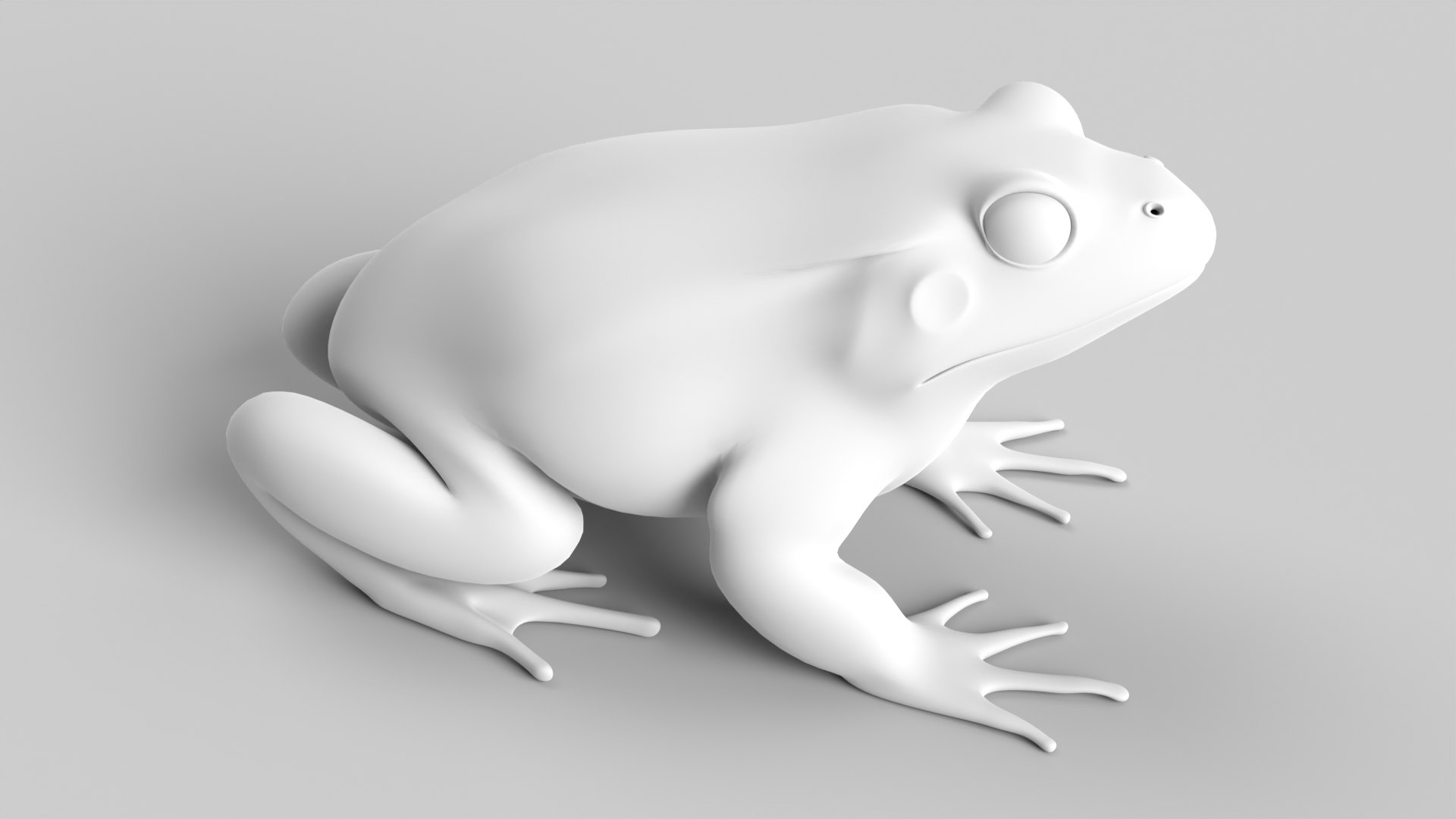 Toad 3D Model - TurboSquid 2166688