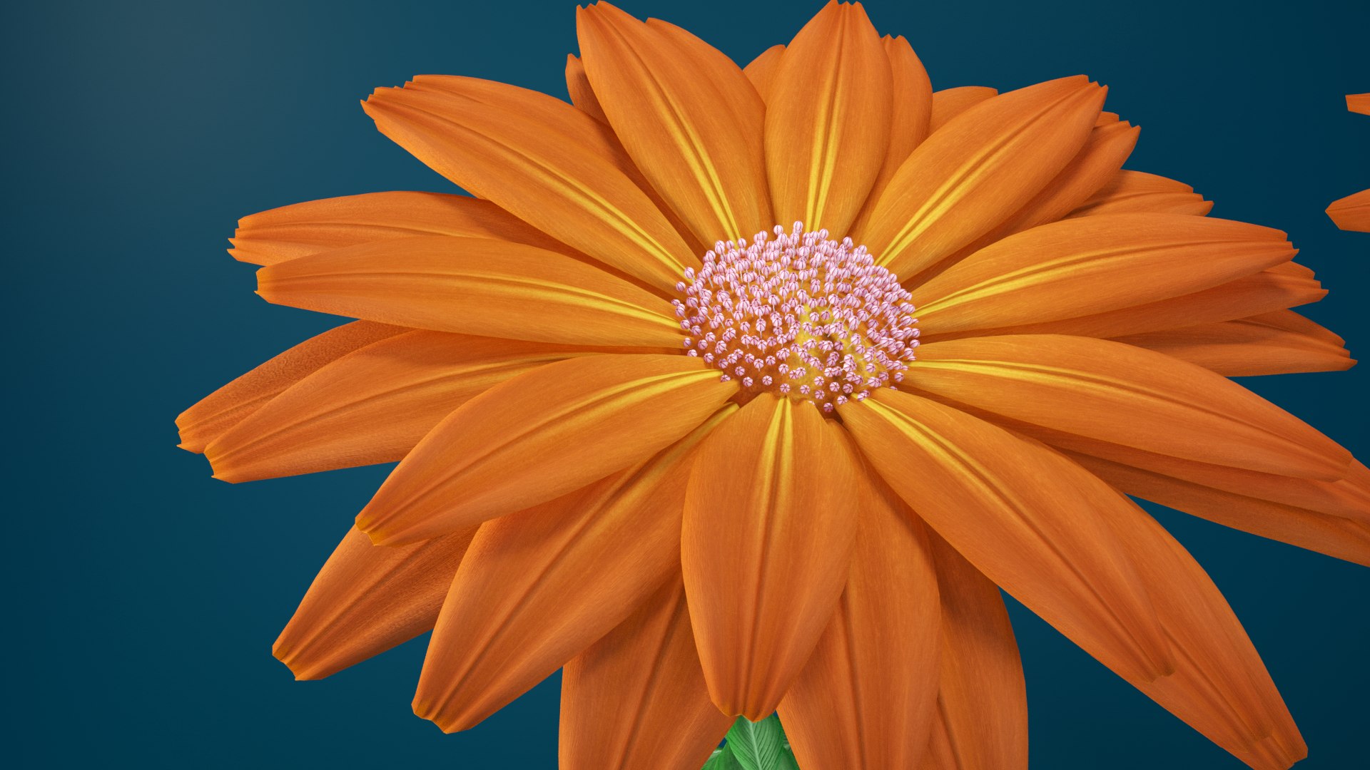 3D Rigged Orange Flower Model - TurboSquid 1349581