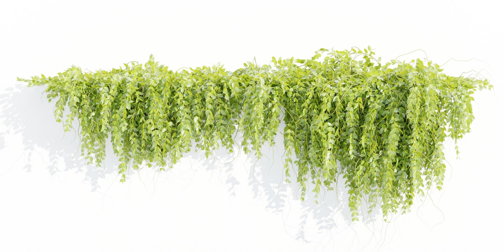 3D Hanging Wall Plants Vol 127-Blender Model - TurboSquid 2144320