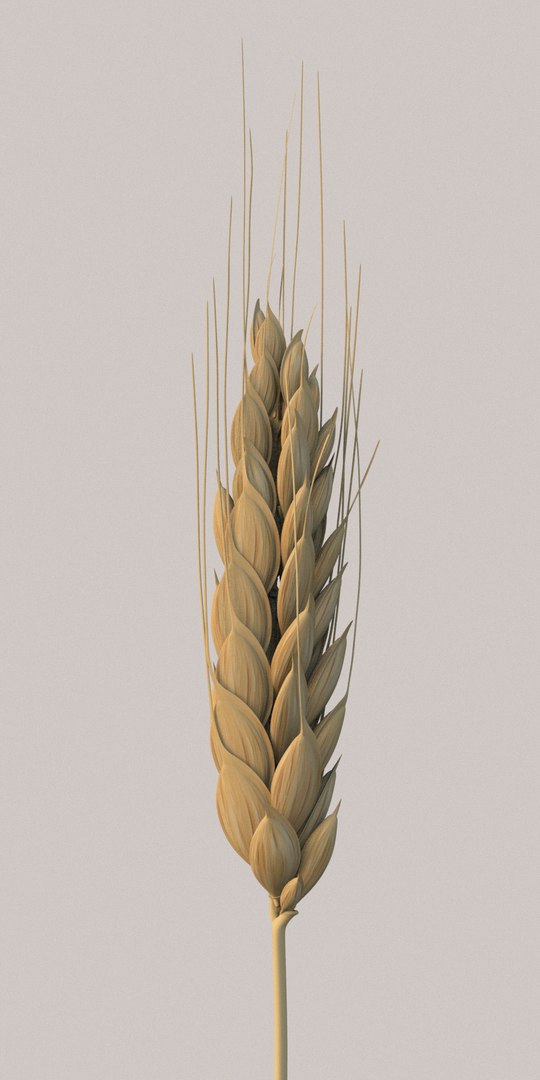 Spike 3d Obj