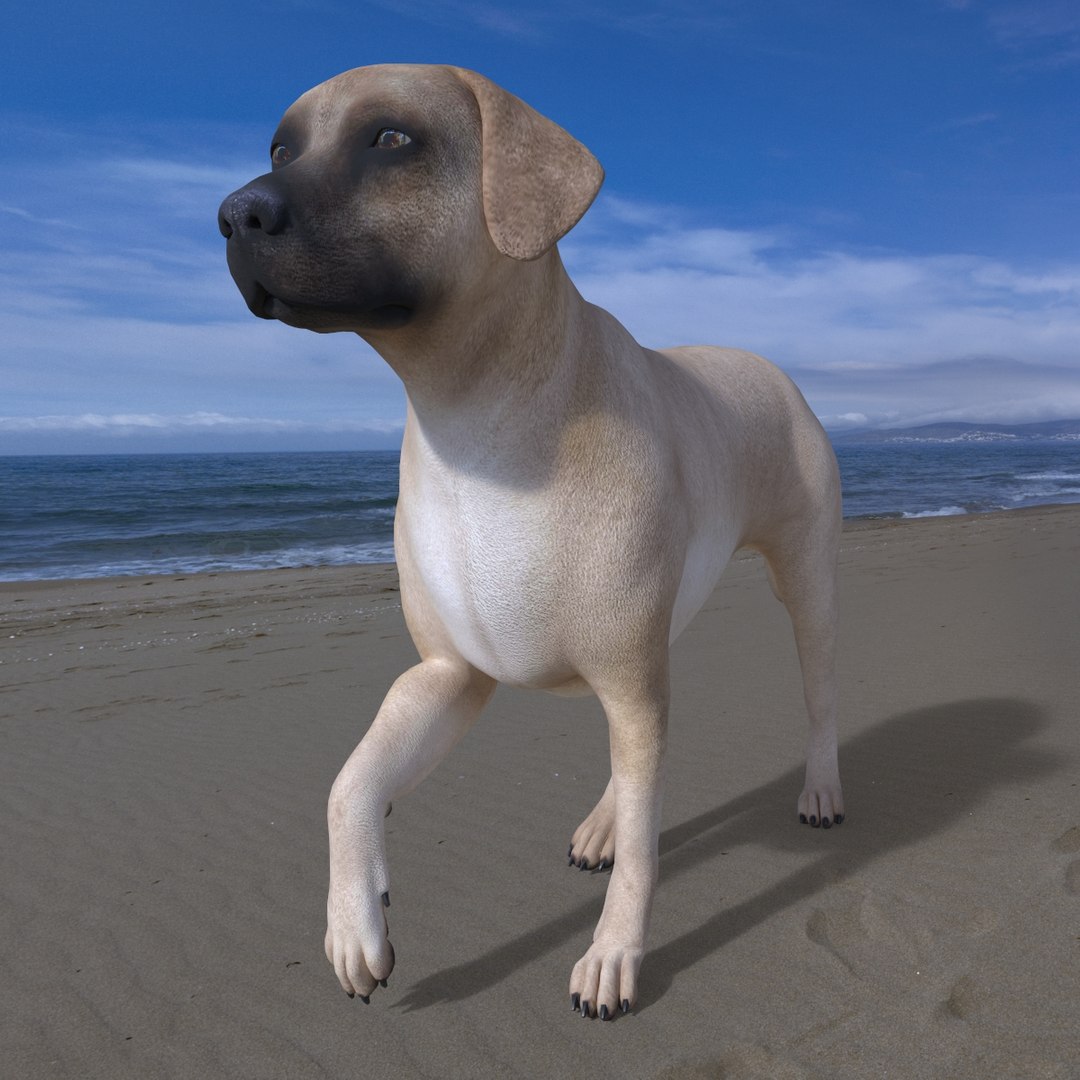 3D LAB-003 Dog Walking - TurboSquid 1913854
