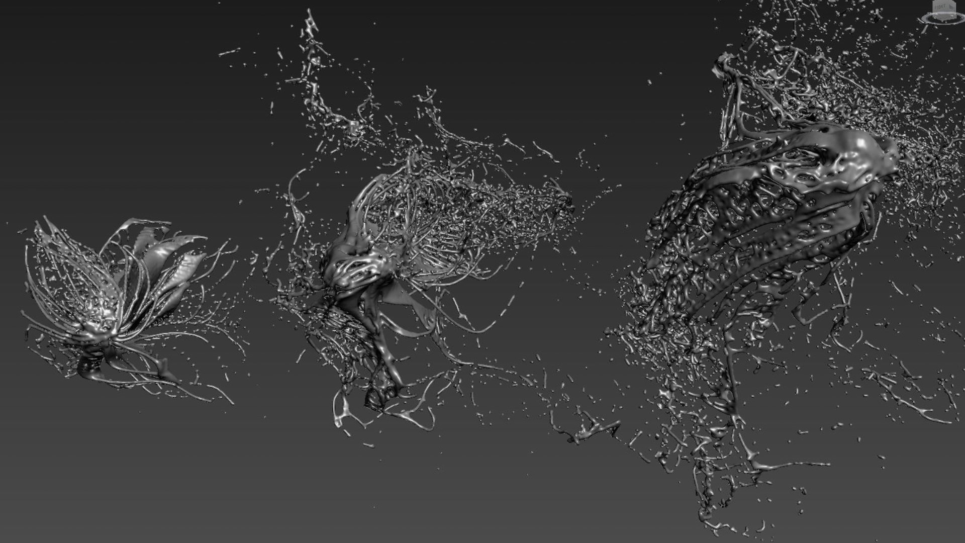 3D Water Splash Animation And Model Model - TurboSquid 1944417