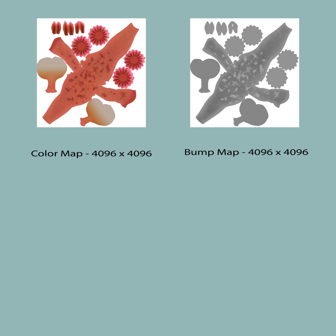 Uterus Endometrial Tissue 3d Obj