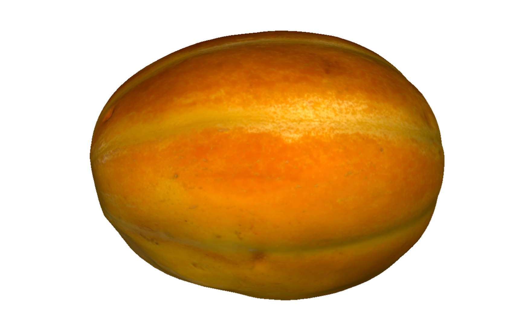 3D Melon Ready Model - TurboSquid 1606929