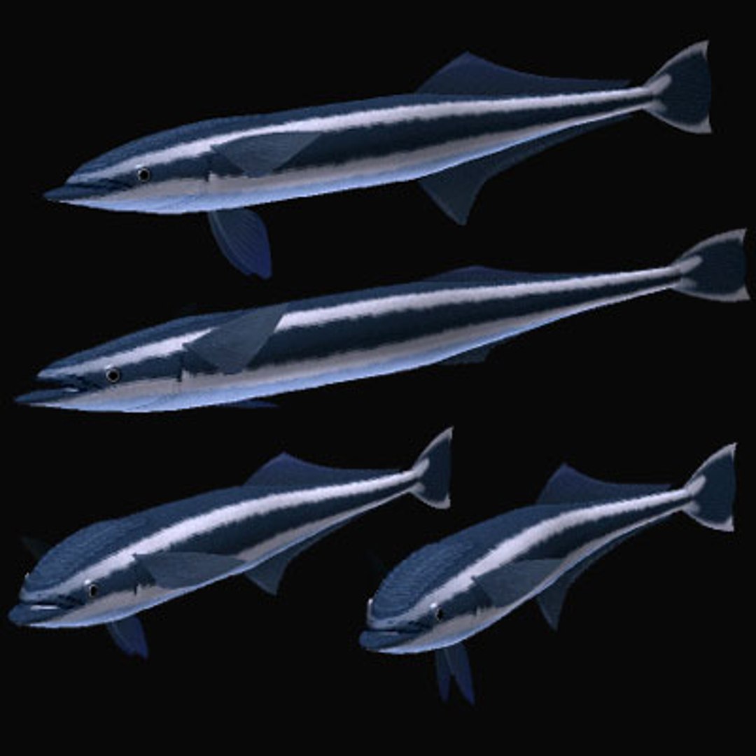 Sharksucker Kobanzame 3d 3ds