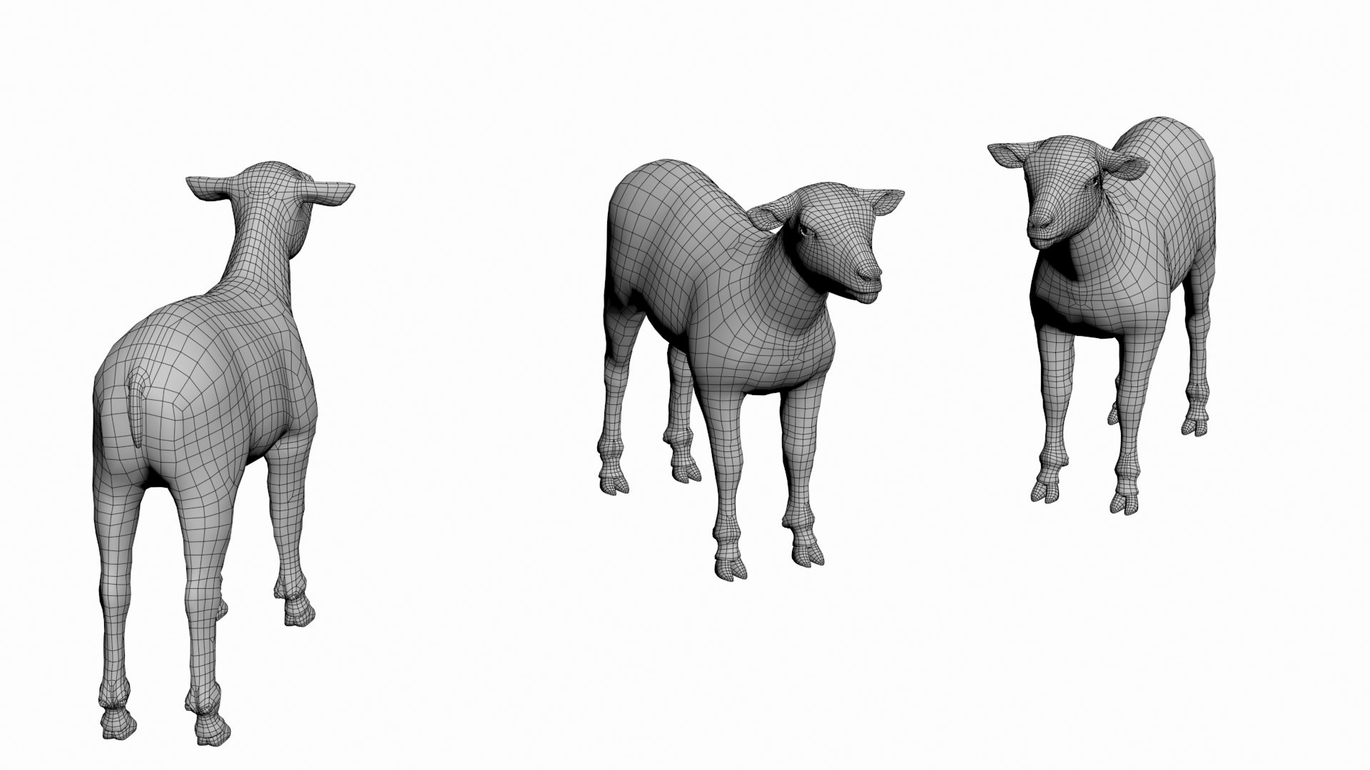 3D Model Lamb - TurboSquid 1761280