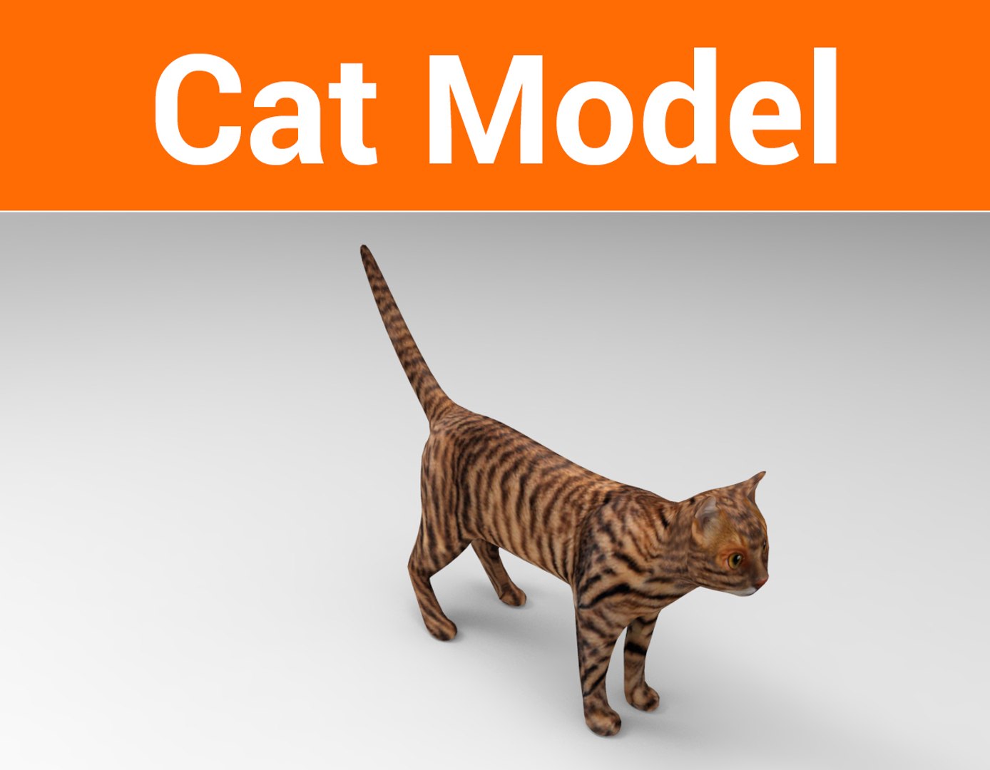 Cat Ready 3d Max
