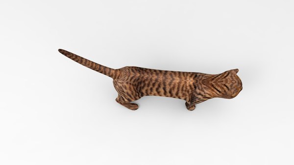 cat ready 3d max